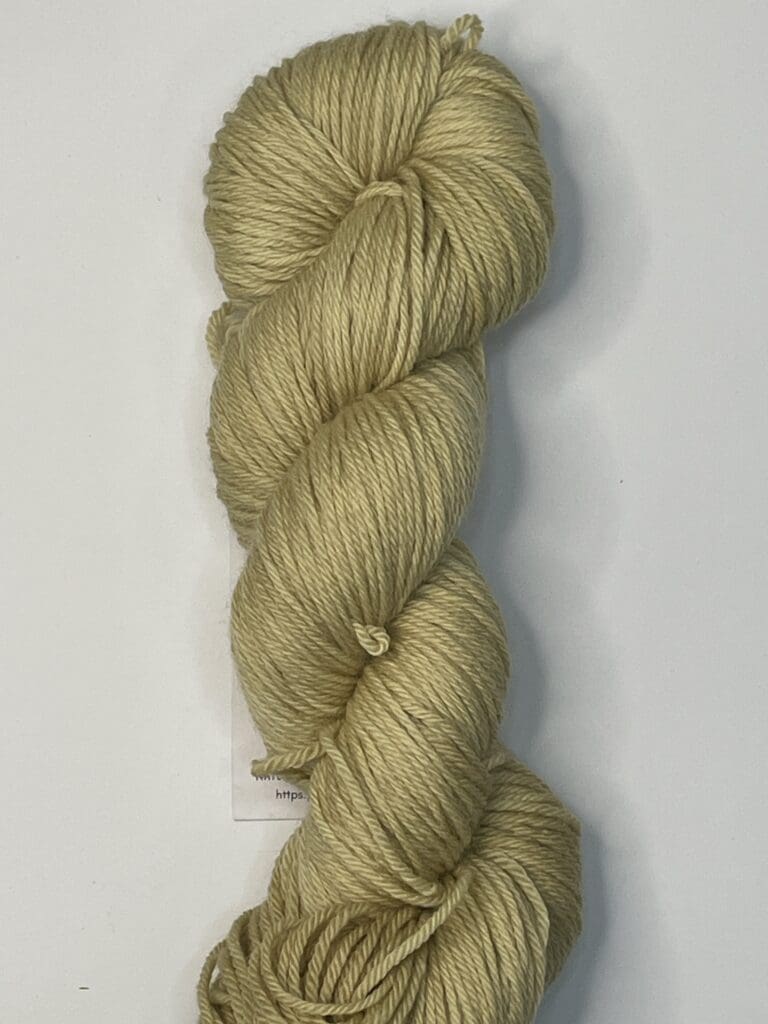 Variegated Light Mustard DK Naturally Dyed Yarn